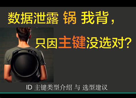 Id主键的种类与选型建议详解 Diboot低代码 Diboot低代码 哔哩哔哩视频