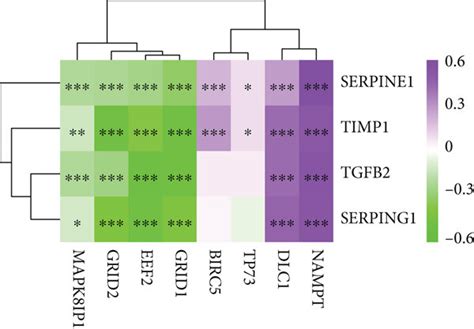 Correlation Analysis A Correlation Between Args And The Key Genes Download Scientific