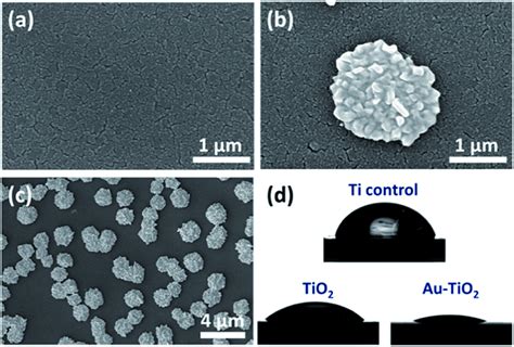Sem Image Of A Tio2 And Flower Like Hierarchical Au Structures