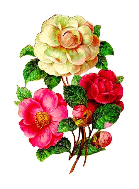 Free Clip Art Vintage Flowers At Alice Fisher Blog