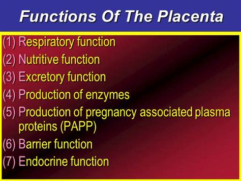 Placenta Definition Anatomy And Functions