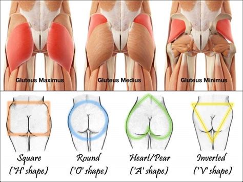 High Tight Developing The Upper Glutes Team T Rex Training