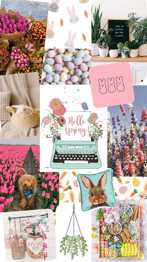 Spring Easter Aesthetic Wallpaper How Can This