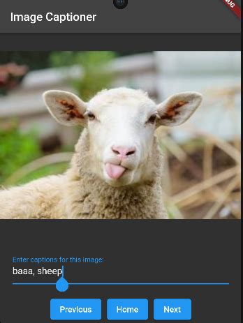 A Flutter App Written By A Noob For Producing Text Files Against A Folder Of Pictures