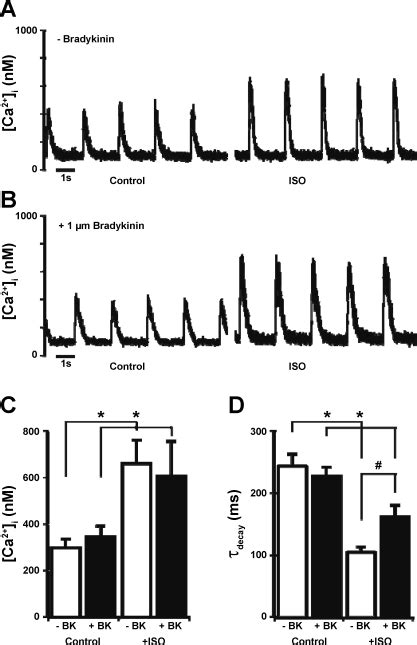 Intracellular Ca2 Concentration [ca2 ]i Transients Recorded From