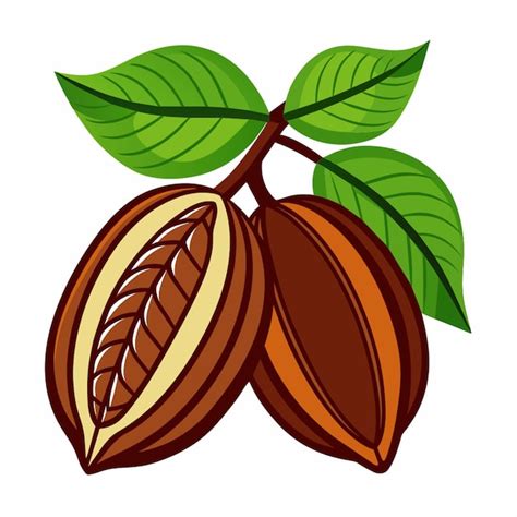 Cocoa Beans Vector Illustration Premium Ai Generated Vector