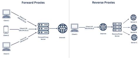Kirti Kamal On Linkedin Proxyserver Forwardproxy Reverseproxy