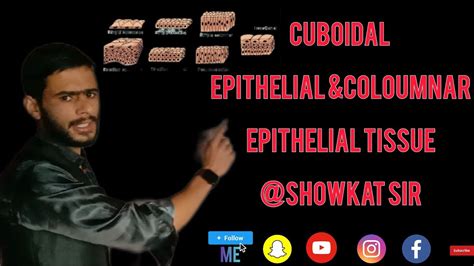 Class 9th Bio Cuboidal Epithelial Tissue Coloumnar Epithelial Tissue Showkat Sir Bio Youtube