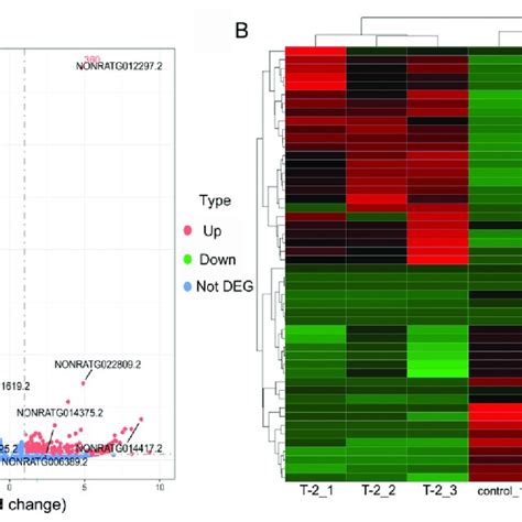 Differentially Expressed Lncrnas De Lncrnas And Hierarchical Cluster