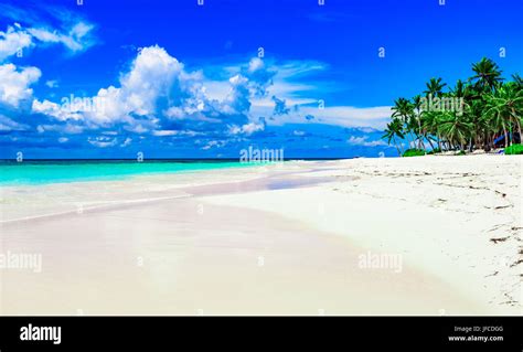 Sea Sky Sun Tree Stock Photo Alamy