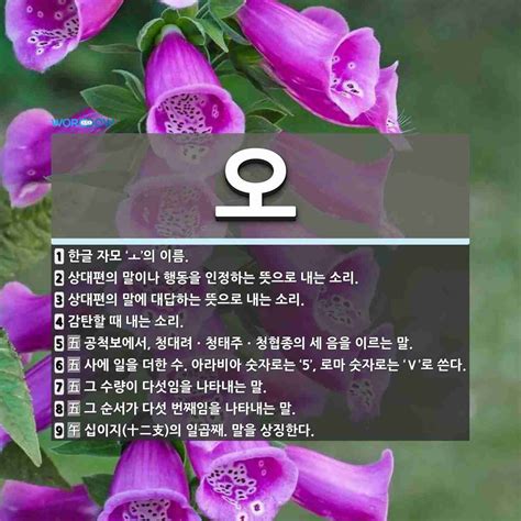 오 뜻 한글 자모 ㅗ의 이름 상대편의 말이나 행동을 인정하는 뜻으로 내는 소리 상대편의 국어 사전