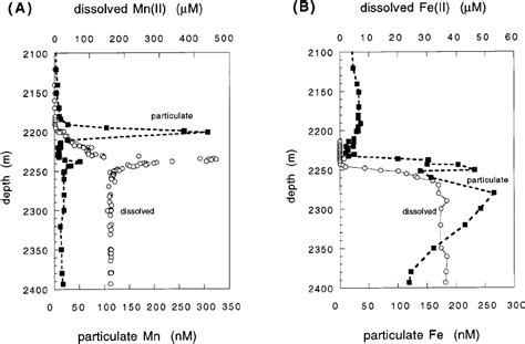 Depth Profiles Of Dissolved And Particulate Manganese A And Dissolved