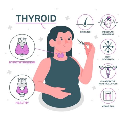 Tsh Test Explained Normal Ranges Thyroid Function And What Your Results Mean Mydiagnostics