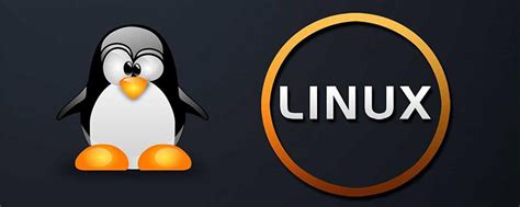 linux内核优化（一）：修改文件最大打开数 修改最大文件打开数 csdn博客