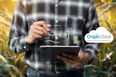 Guide To Crop Yield Prediction Methods In Farming