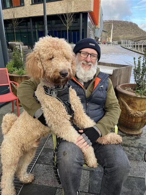 Couple Who Adopted Cockapoo Puppy Stunned After He Grew Into Something