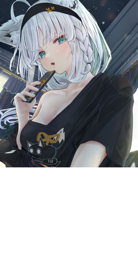 Hinataaoi Iraiuketsukechuu Shirakami Fubuki Hololive Absurdres