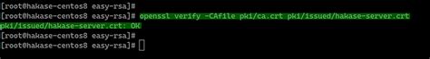 How To Install OpenVPN Server And Client With Easy RSA On CentOS