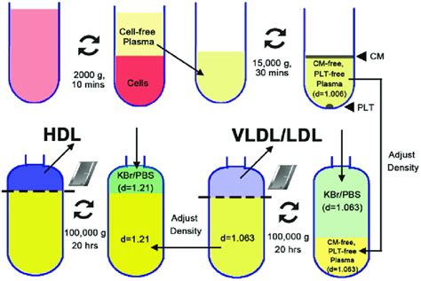 experimental workflow of sequential density ultracentrifugation sd uc download scientific