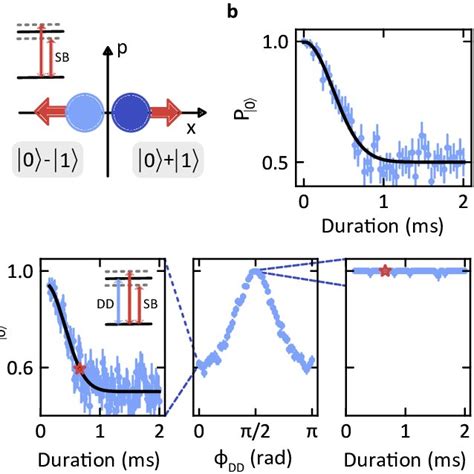 Spin Dependent Force Suppression Through Dynamical Decoupling A Download Scientific Diagram
