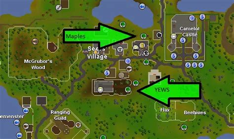 Maple Tree Xp In Osrs The Ultimate Guide To Woodcutting And Farming Osrs Money Making Guide