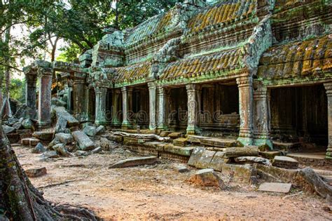 Ficus Strangulosa Tree Growing Over A Doorway Angkor Wat Cambodia