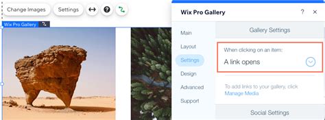 CMS Displaying Collection Content In A Pro Gallery Help Center Wix