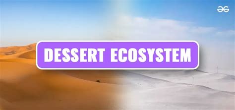 Ecosystem Of Desert