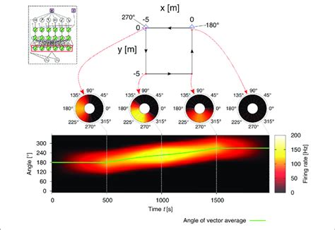 Example Of Vector Representations Based On The Neural Activities Of