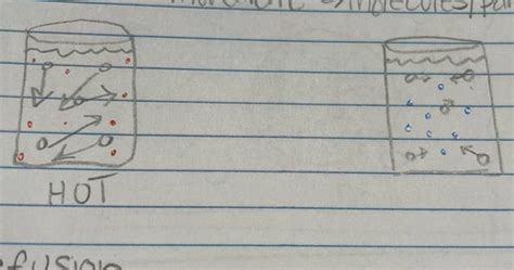 Diffusion Osmosis Quiz On Thursday 4 20 Flashcards Quizlet