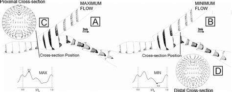 Axial And Cross Sectional Velocity Vectors At Various Positions For The Download Scientific