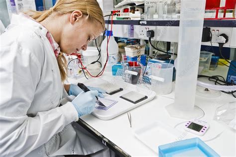 Kinase Profiling Stock Image C0132926 Science Photo Library