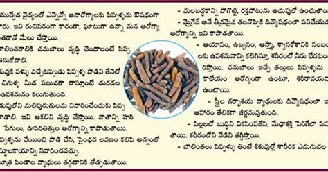 Telugu Web World Health Benefits With Indian Long Pepper Pippallu