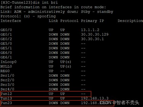 华三h3c实验中tunnel无法正常ping通 华三 路由器的tunnel 口down 是什么原因 csdn博客