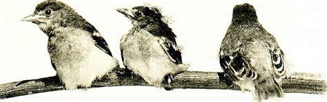 Mocking Graphql With Graphql Tools Medium
