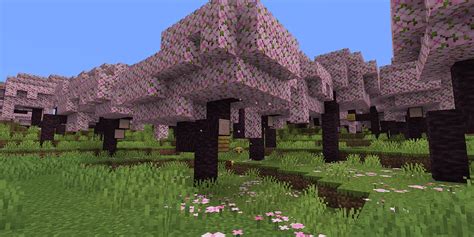 Minecraft Update Adding New Biome