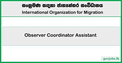 Observer Coordinator Assistant International Organization For Migration Job Vacancies 2024