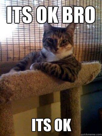 Its Okay Meme 51 Koleksi Gambar