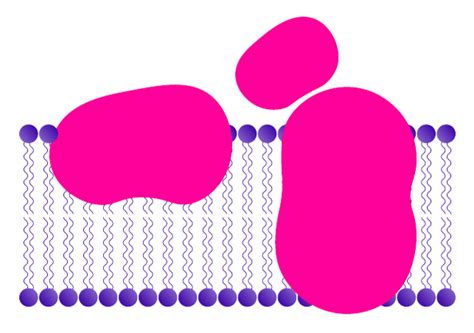 Membrane Proteins Fluidic Sciences Ltd