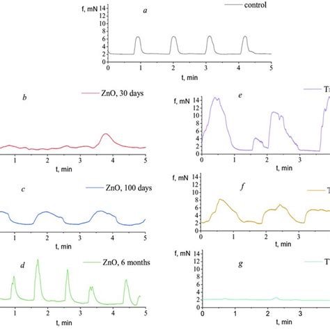 Spontaneous Contractile Activity Of The Longitudinal Smooth Muscles Of