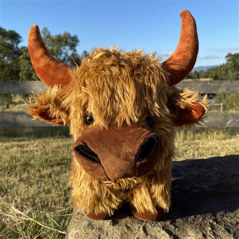 Highland Cow Plush Toy Lalirra Yellingbo