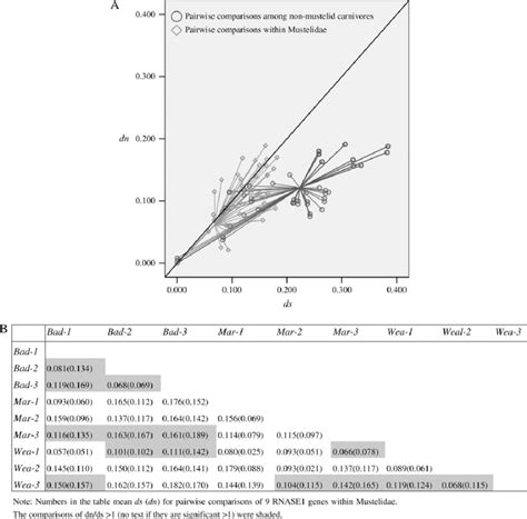 —nonsynonymous Substitutions Dn Versus Synonymous Substitutions Ds Download Scientific