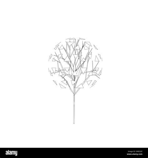 Tree Line Drawing Side View Graphics Trees Elements Single Object