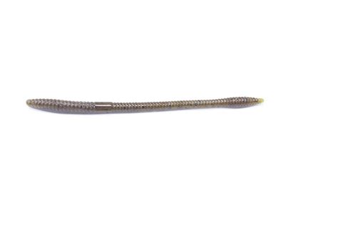 Best Fishing Worms For Bass Best Bait For Bass