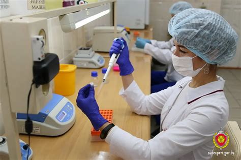 Вернуть ребёнка Житель Барановичей с помощью генетической экспертизы доказал отцовство