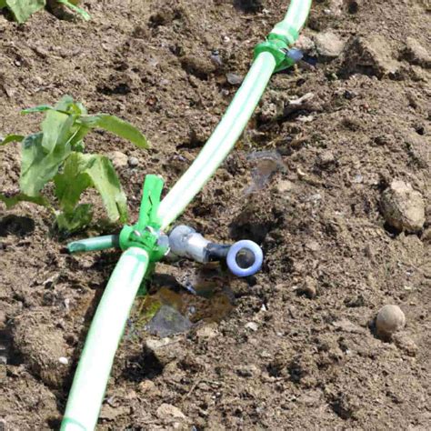 Drip Fertigation In Fruit Crops Schedule Of Drip Fertigation Pros