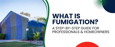 What Is Fumigation A Complete Guide To Pest Elimination