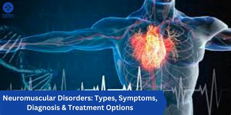 Neuromuscular Disorders Types Symptoms Diagnosis And Treatment Options Bttn