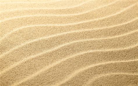 Sand Dunes Texture