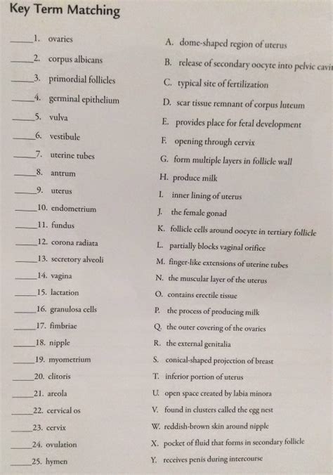 Solved Key Term Matching Match Each Lettered Definition To Chegg Com